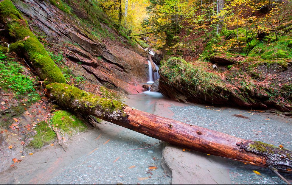 TORLA - parque nacional de ordesa